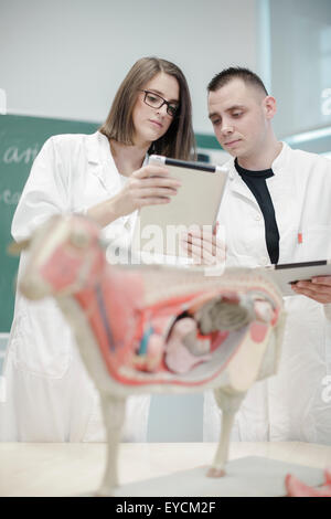 Students studying a skeleton with their teacher Stock Photo - Alamy