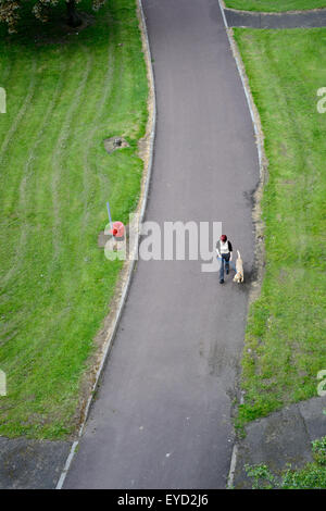 A woman walks her dog in a park in Frankfurt, Germany, Thursday, June ...