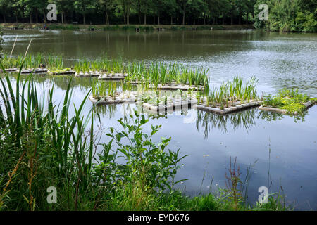 Floating artificial islands with vegetation in pond for fish to spawn ...