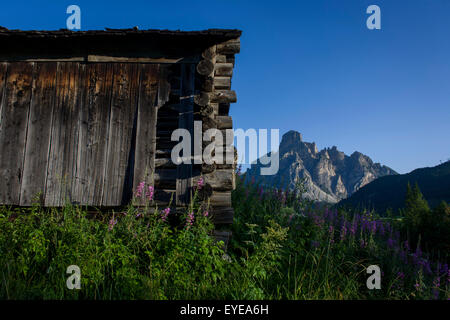 Typical Tyrolean timber barn architecture in Leonhard-St Leonardo, a ...