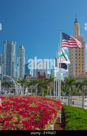 The Freedom Tower and the Miami downtown skyline Stock Photo - Alamy