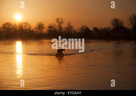 A rower at sunrise on the River Trent at Colwick Park in Nottingham ...