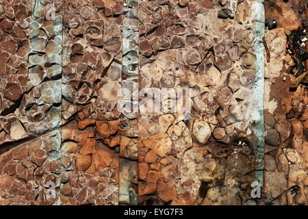 Keuper Marl (mudstone), with concodial fractures Stock Photo - Alamy