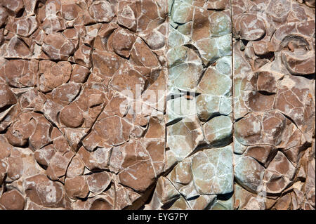 Keuper Marl (mudstone), with concodial fractures Stock Photo - Alamy