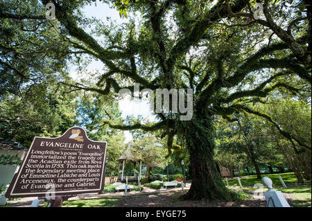 Louisiana, St. Martinville, Evangeline Oak Park, Evangeline Oak Tree ...