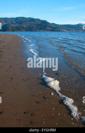 Beach, Bayocean Peninsula, Oregon Stock Photo - Alamy
