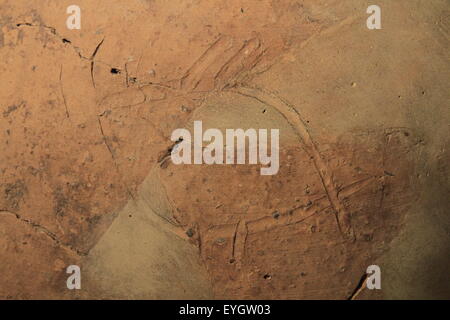 letter of the alphabet C Stock Photo - Alamy