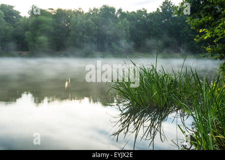 Calf Heath reservoir at Dawn cannock uk Stock Photo - Alamy