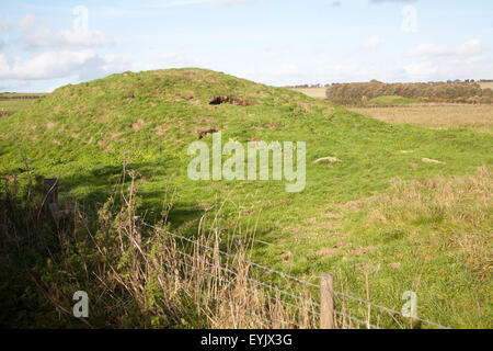 Prehistoric burial mounds, Seven Barrows, Seorfon Barrows, West Overton ...