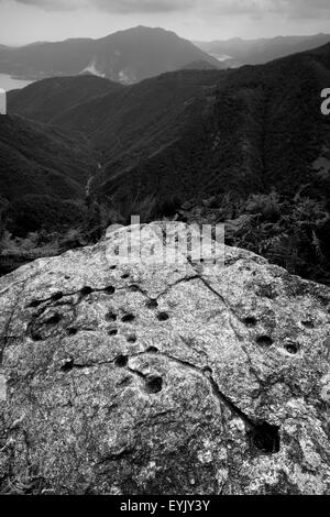 Prehistoric cup and ring marks rock art carved on rock at Brigantium ...