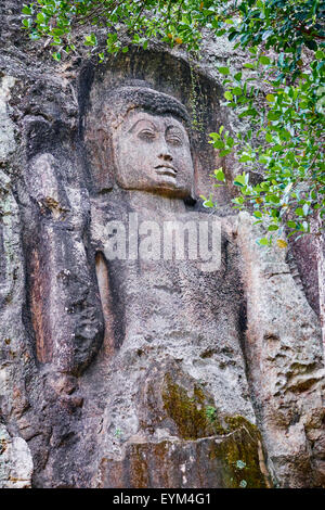 Buddha statue carved into the rock. Dowa temple. Near Ella. Sri Lanka ...