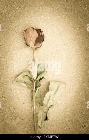 Texture dried rose petals, leaves. Potpourri, desiccated rose buds ...