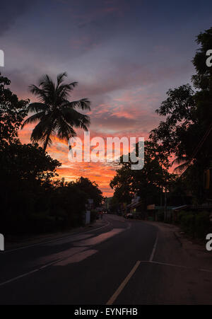 panoramic view of nice tropic jungle and huge boulders Stock Photo - Alamy