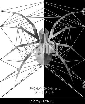 Polygonal spider. Geometric illustration Stock Vector Image & Art - Alamy
