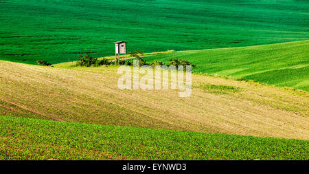Moravian rolling landscape with hunting tower shack Stock Photo - Alamy