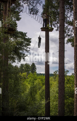 Man on a zip wire,Go Ape Adventure Course Delamere Forest Linmere ...