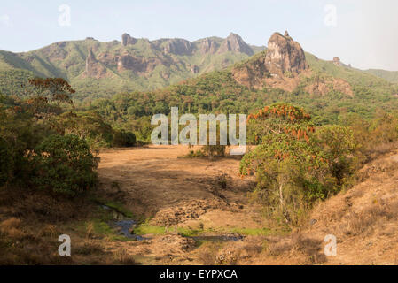 Harenna Forest, Bale Mountains National Park, Ethiopia Stock Photo - Alamy