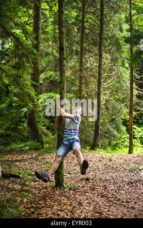 Teen boy climbing in a tree, bright sunlight, beautiful day Stock Photo ...