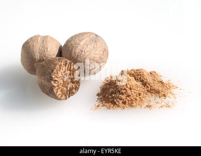 Muskat, Muskatnuesse, Myristica, fragrans Stock Photo - Alamy