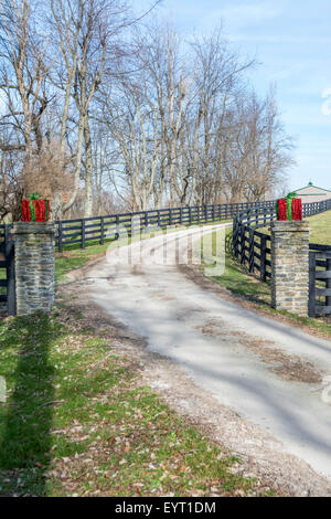 box with Christmas present and Christmas decorations on a black Stock ...