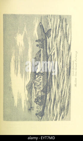 This image from page 371 of 'The Ancient History of the Maori' depicts ...