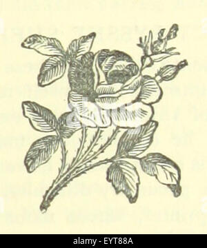 Image from 'The Poetical Works of Percy Bysshe Shelley', featuring ...