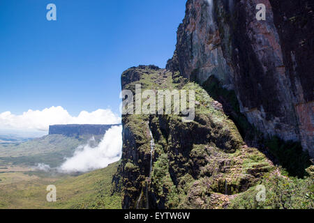View from Roraima Tepui - Table Mountain - Triple border, Venezuela ...