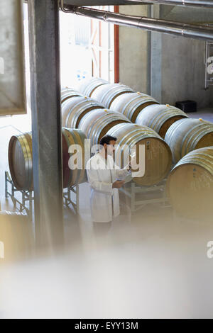 Winemaker examining a glass of wine Stock Photo - Alamy