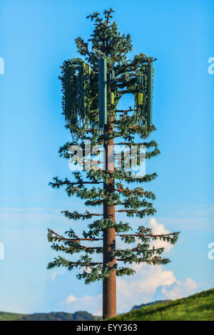 Cellular Phone tower disguised as a artificial palm tree in Marrakesh ...