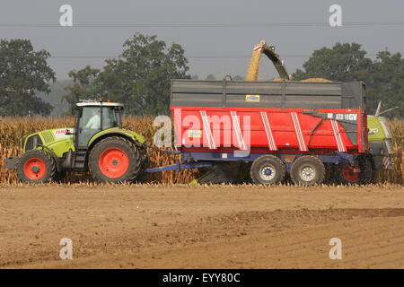 Maize field harvest tractors corn field harvest Stock Photo - Alamy