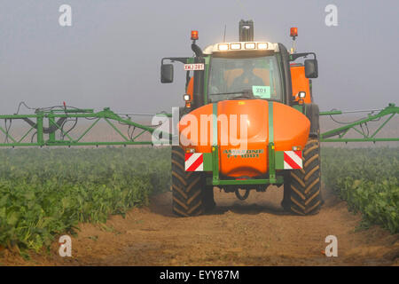 worker spraying herbicides Stock Photo - Alamy