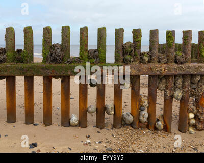 Metal groynes with trapped pebbles on a Norfolk beach Stock Photo - Alamy