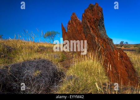 weathered rocks in australian outback, Australia, Western Australia ...