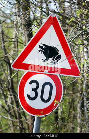 Road and warning sign 'Toad migration', amphibian migration, North ...