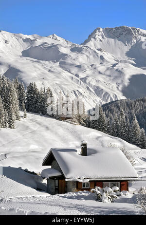Alpine hut in an idyllic winter landscape in Austria, Heutal, Unken ...