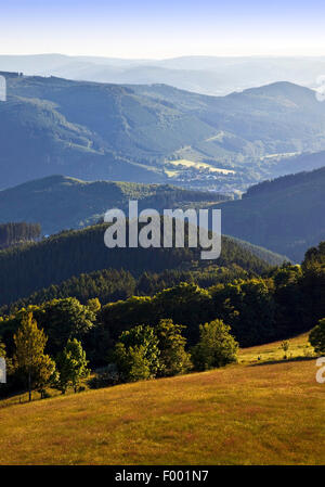 Observation tower at Schomberg Wildewiese in Sauerland. Cellular tower ...