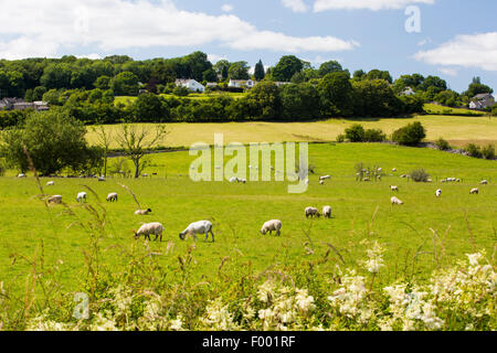 The Lyth Valley in South Cumbria, UK Stock Photo - Alamy