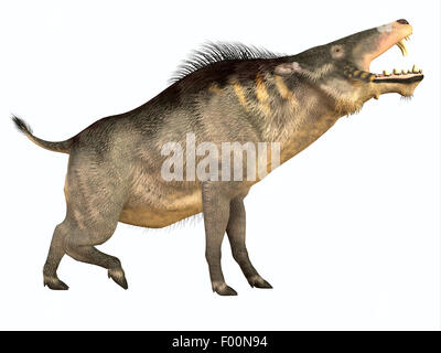 Entelodon was an omnivorous pig that lived in Europe and Asia in the ...