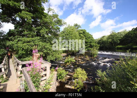 A wooden footbridge spans the River Derwent by Bamford Mill and weir ...
