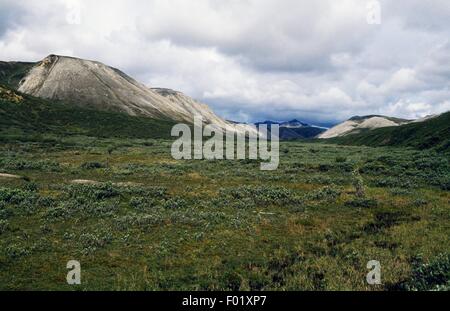 Landscape of the Barrens (treeless hills) and the tundra, Mackenzie ...