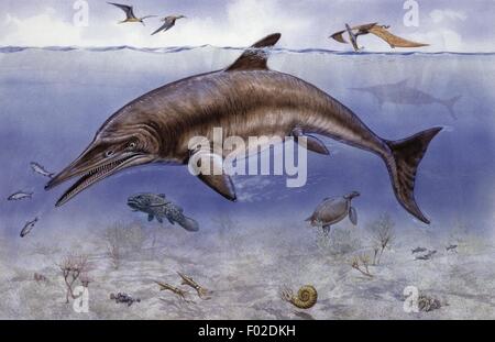Palaeozoology - Cretaceous period - Dinosaurs - Marine reptiles ...