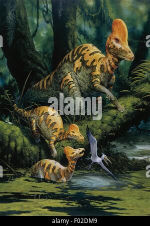 Palaeozoology - Cretaceous period - Dinosaurs - Corythosaurus - Art ...