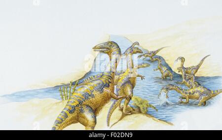 Palaeozoology - Triassic period - Animals in a prehistoric environment ...