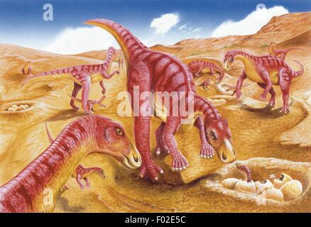 Palaeozoology - Cretaceous period - Dinosaurs - Gilmoreosaurus - Art ...