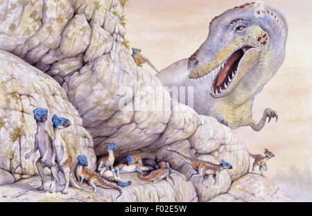 Palaeozoology - Cretaceous Period - Dinosaurs - Microceratops (art work ...