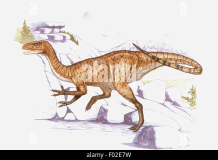 Palaeozoology - Jurassic Period - Dinosaurs - Coelurus (art work by ...