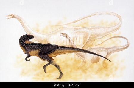 Palaeozoology - Jurassic period - Dinosaurs - Piatnitzkysaurus floresi ...