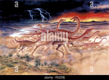 Palaeozoology - Cretaceous period - Dinosaurs - Archaeornithomimus ...