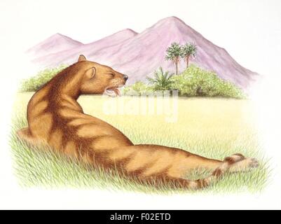 Palaeozoology - Eocene period - Extinct mammals - Andrewsarchus ...