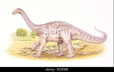 Palaeozoology - Cretaceous period - Dinosaurs - Saltasaurus - Art work ...